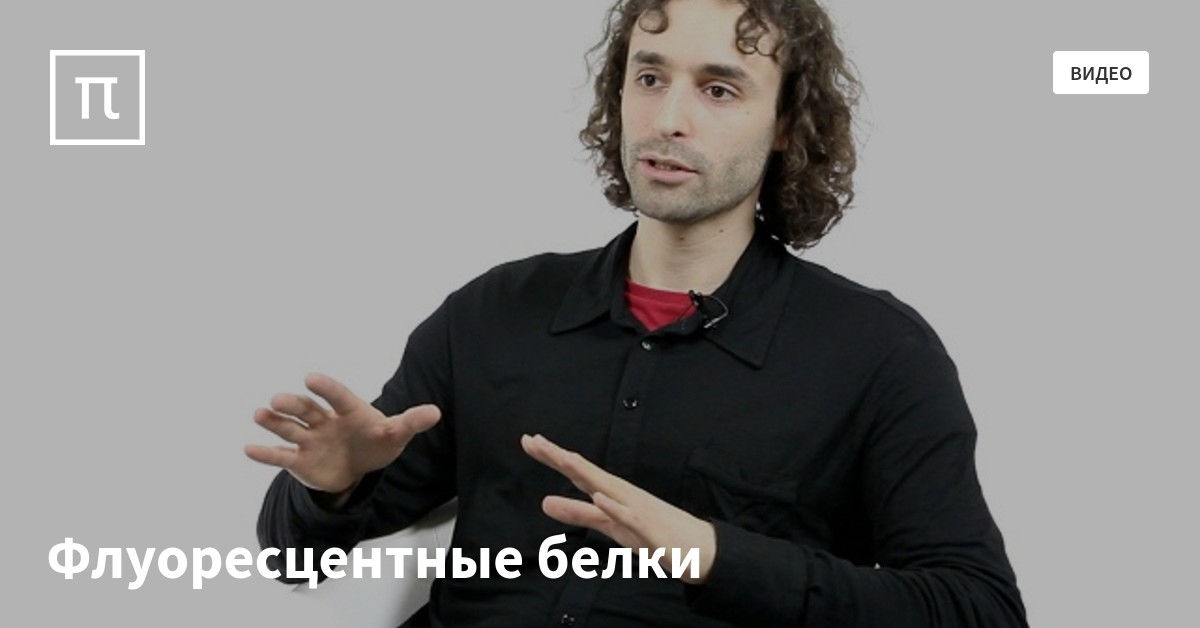 Флуоресцентные белки — все самое интересное на ПостНауке