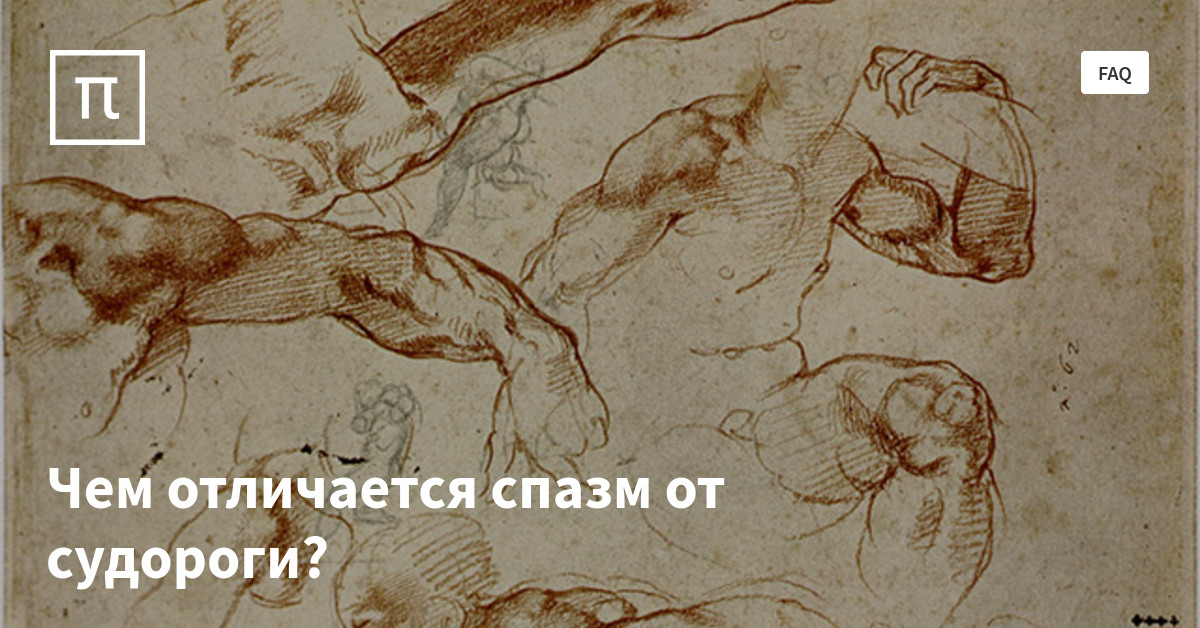 Чем отличается спазм от судороги? — все самое интересное на ПостНауке