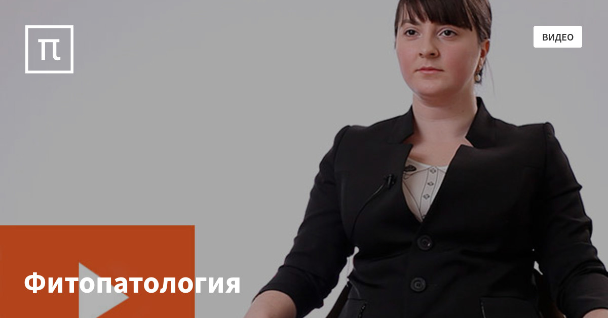 Фитопатология — все самое интересное на ПостНауке