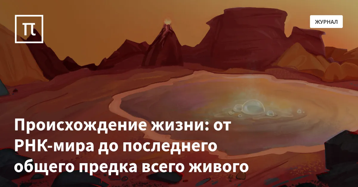 Происхождение жизни: от РНК-мира до последнего общего предка всего ...